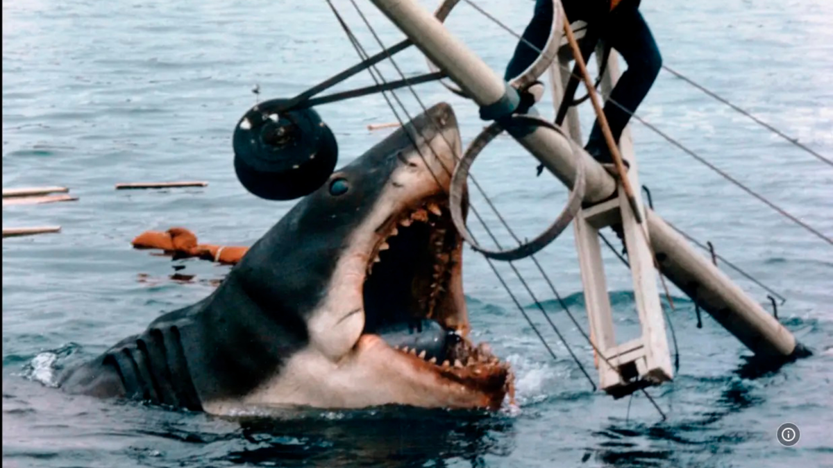 Tum, tum, tum tum... ¿Por qué hay que celebrar el medio siglo de ...