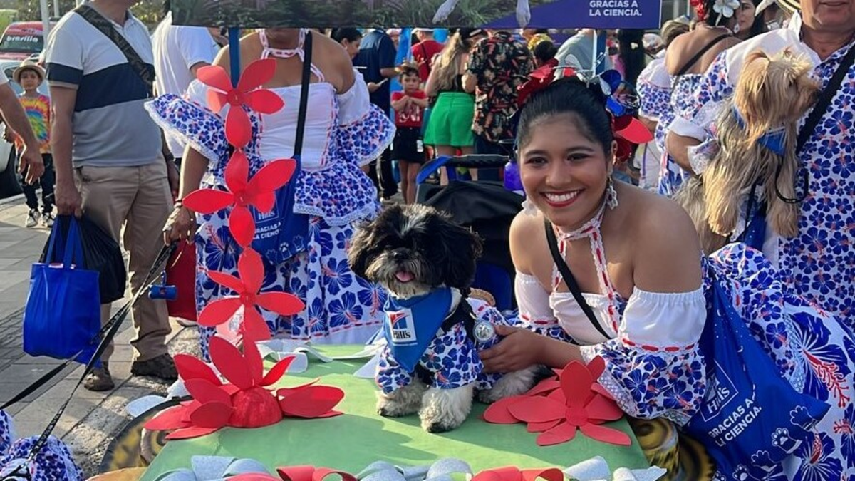 Carnaval Pet Lovers 2026 celebrará a las familias multiespecie en el ...