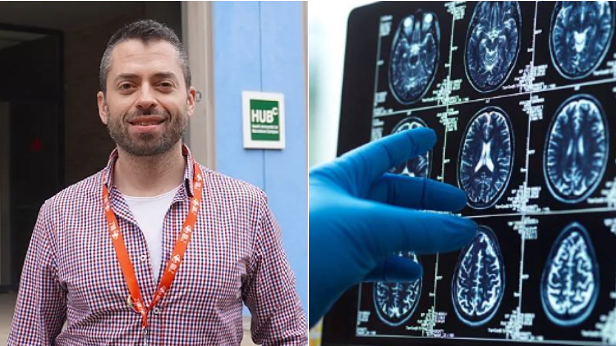 Un estudio revela cómo el cerebro retiene y procesa la información: el ...