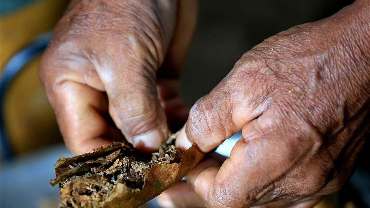 JEP ordena medidas de protección a indígenas Muina Murui