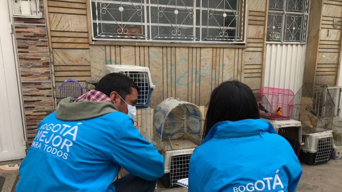 Ley chao marcas: ¿qué es la ley que sancionó el presidente Gustavo Petro?