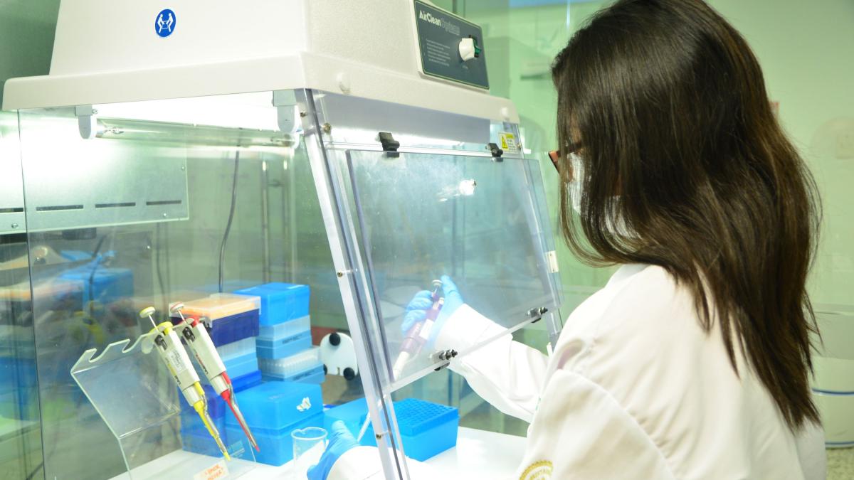 Genes saltarines causantes de cáncer, se remontan a 3 millones de años