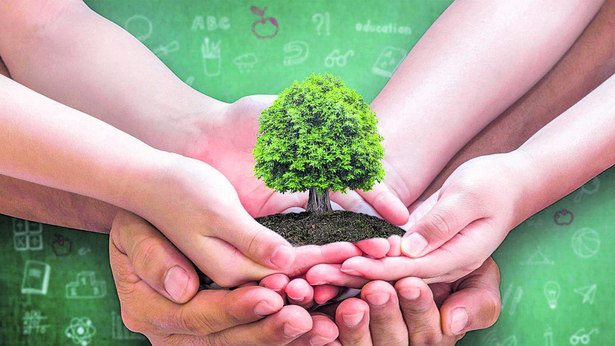 Día del árbol, por qué y cómo se celebra en Colombia