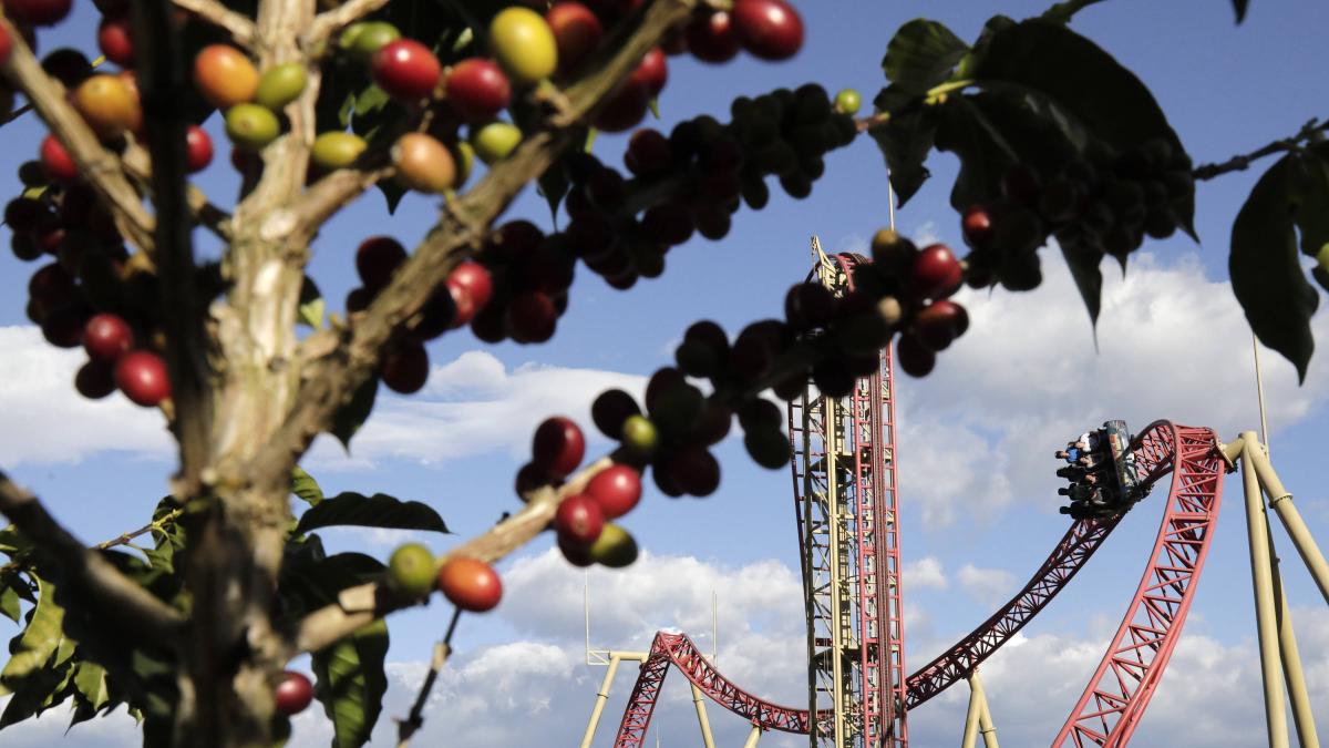 Planes para hacer en Quindío, restaurantes, parque del café, Recuca y más