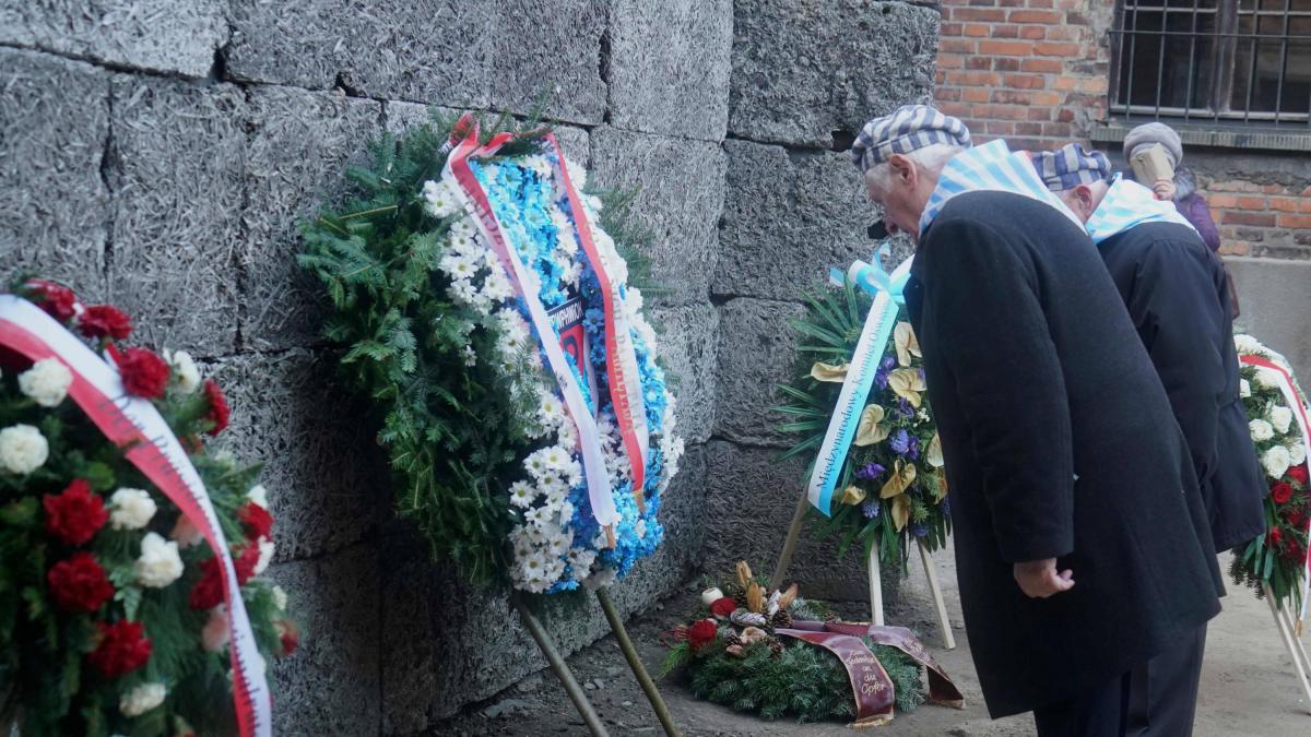 En el planeta hay cerca de 245.000 judíos supervivientes del Holocausto ...