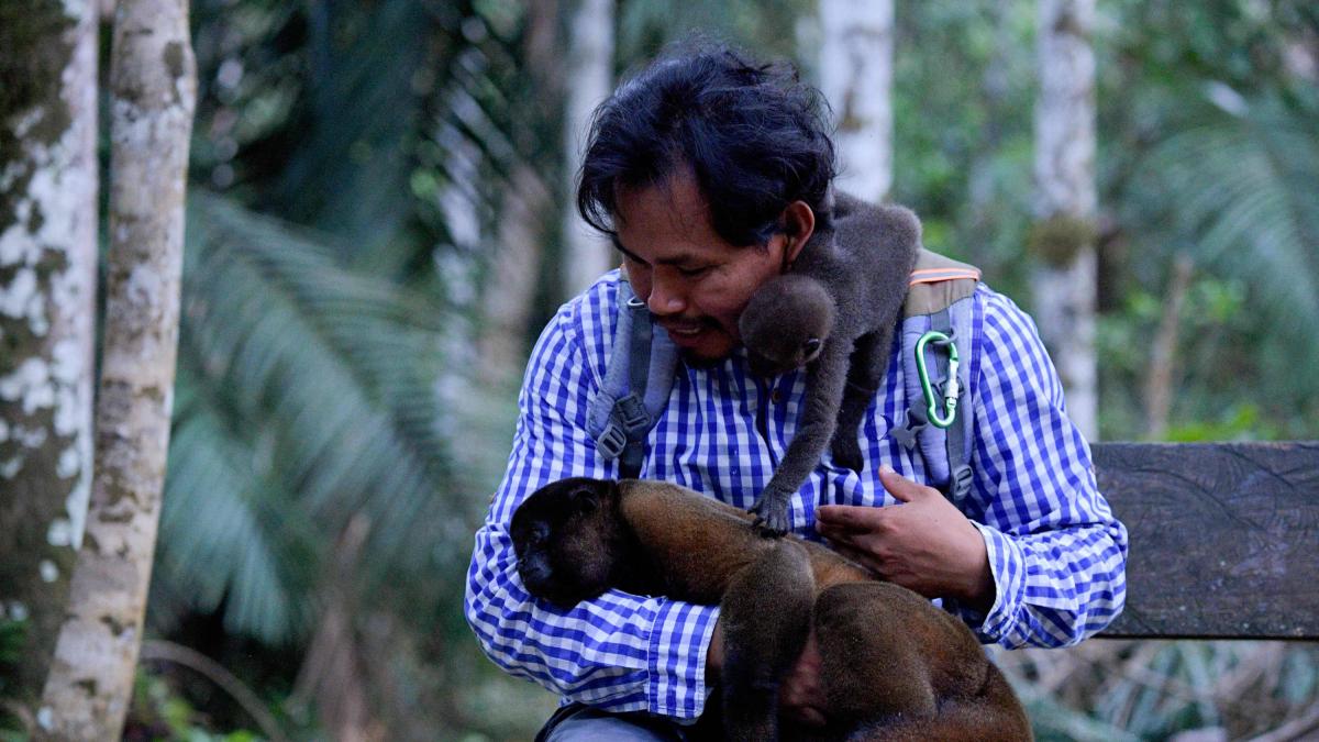El indígena que protege a los monos huérfanos en la selva amazónica