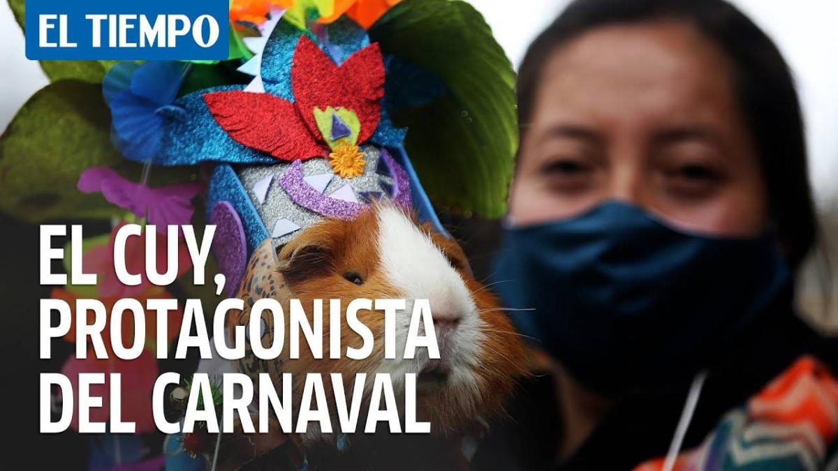 El cuy, gran protagonista en el Carnaval de Negros y Blancos