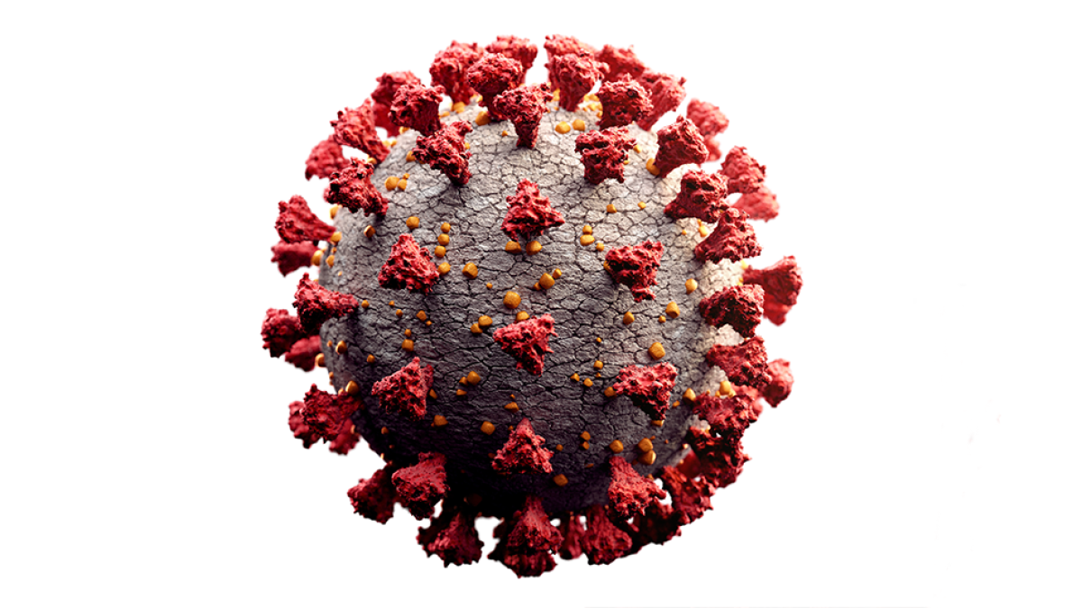 Cómo fue identificado el primer virus de la historia (y qué pasó ...