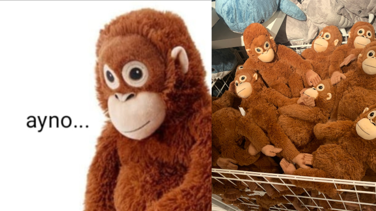 Este es el inesperado origen del meme ‘Ay, no’