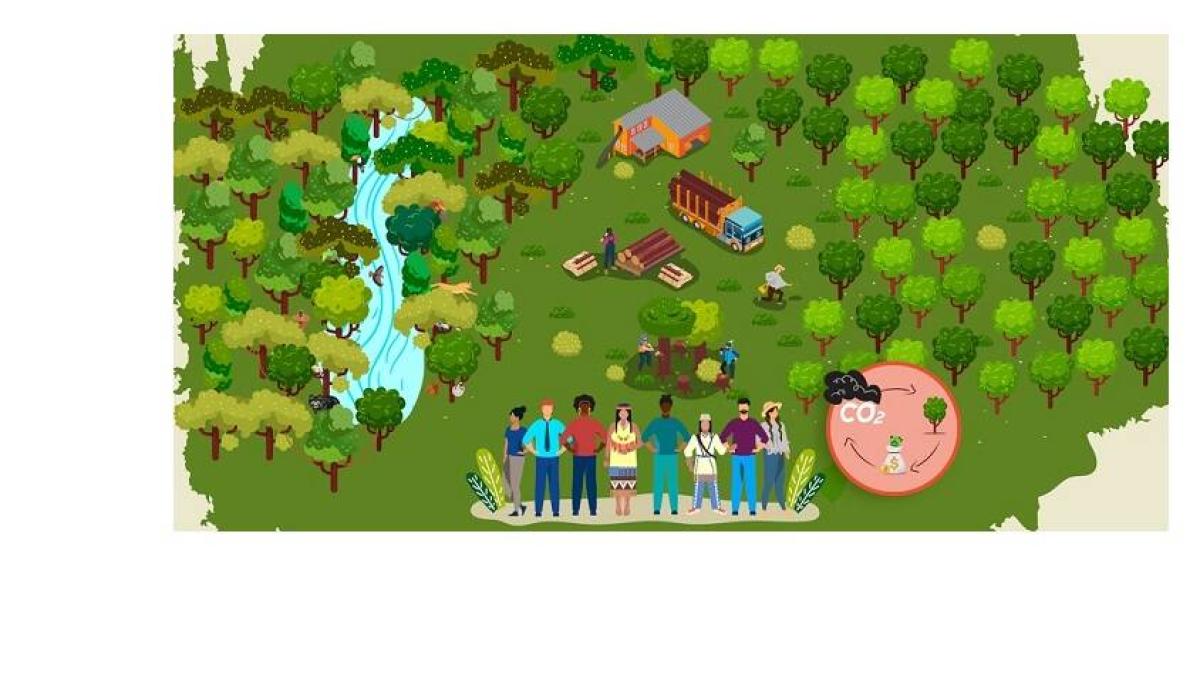 Proyecto de Ley 160/2021 ProBosques