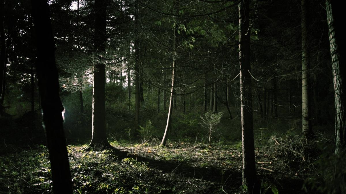 Descubren identidad del homicida de Candy Rogers asesinado en 1959