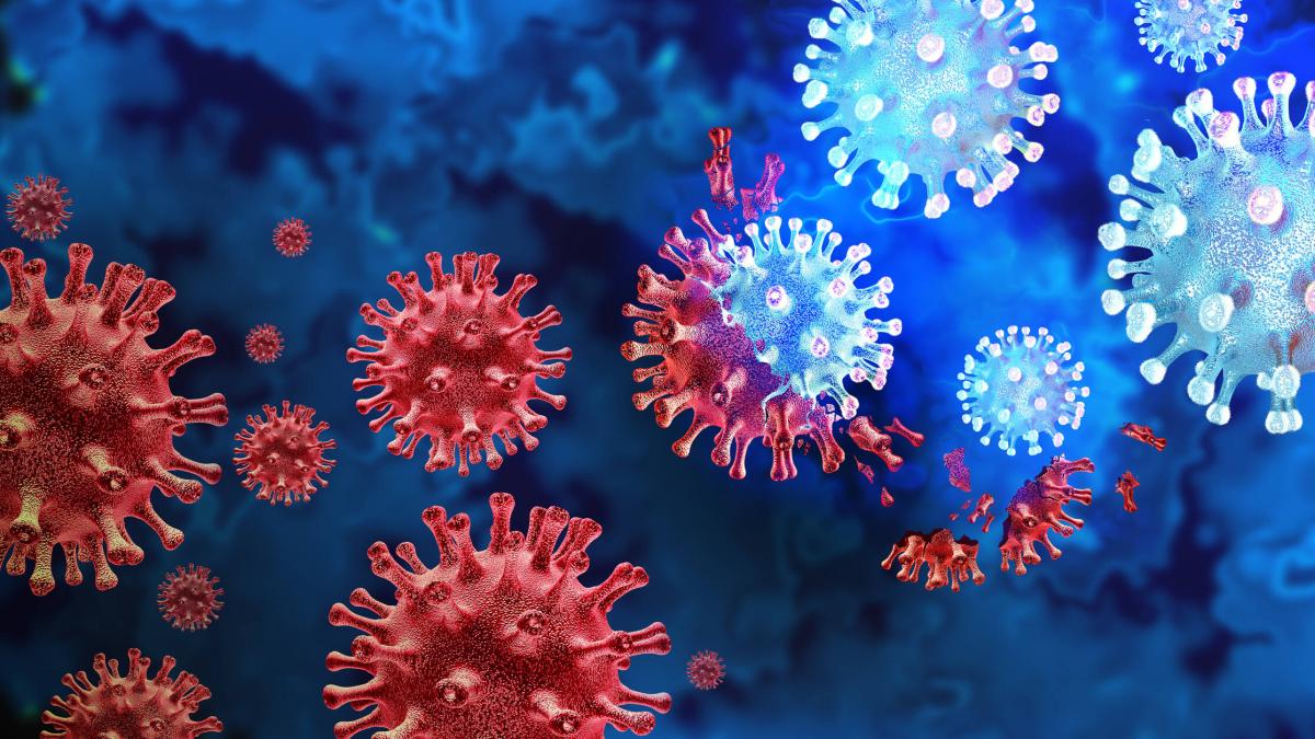 Viruela del mono: qué es y casos en Reino Unido