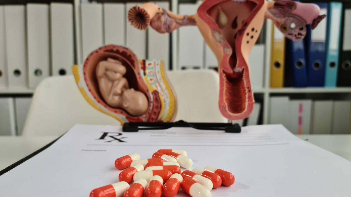 Placenta: ¿comerla después del parto trae beneficios o es peligroso?