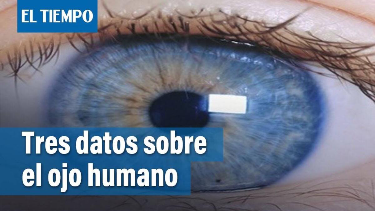 Tres datos sobre el ojo humano