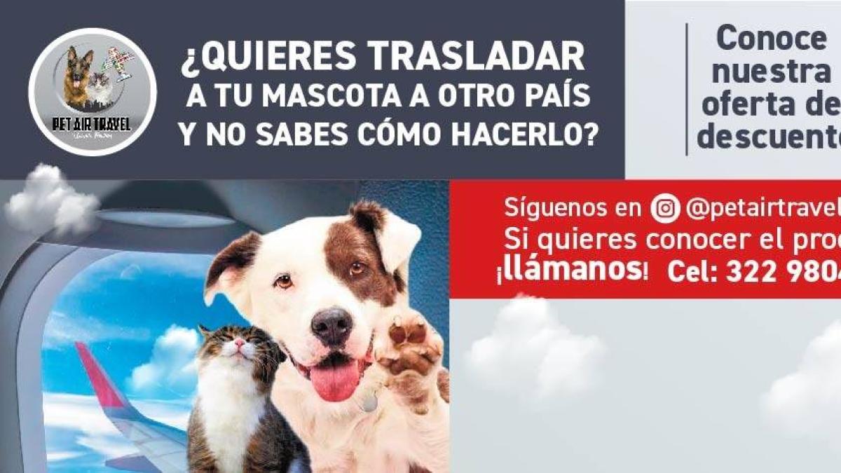 ¿Quieres trasladar a tu mascota a otro país y no sabes cómo hacerlo?