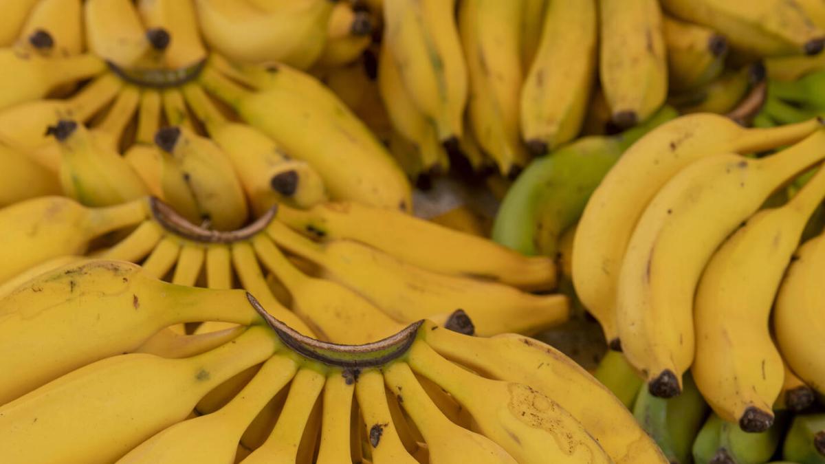 ¿Cómo se le dice al banano en otros países y con qué tipo de comidas lo ...