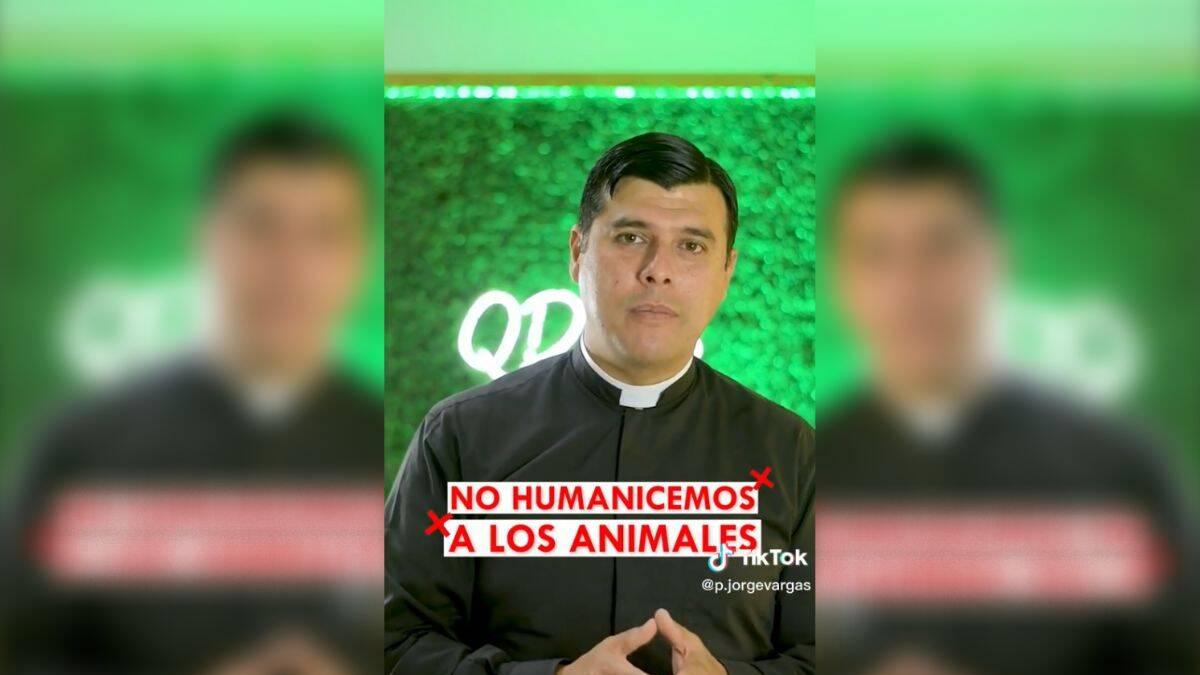 Sacerdote regaña a las personas que humanizan animales
