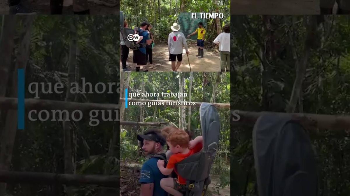 Fundación del amazonas salva primates del tráfico ilegal