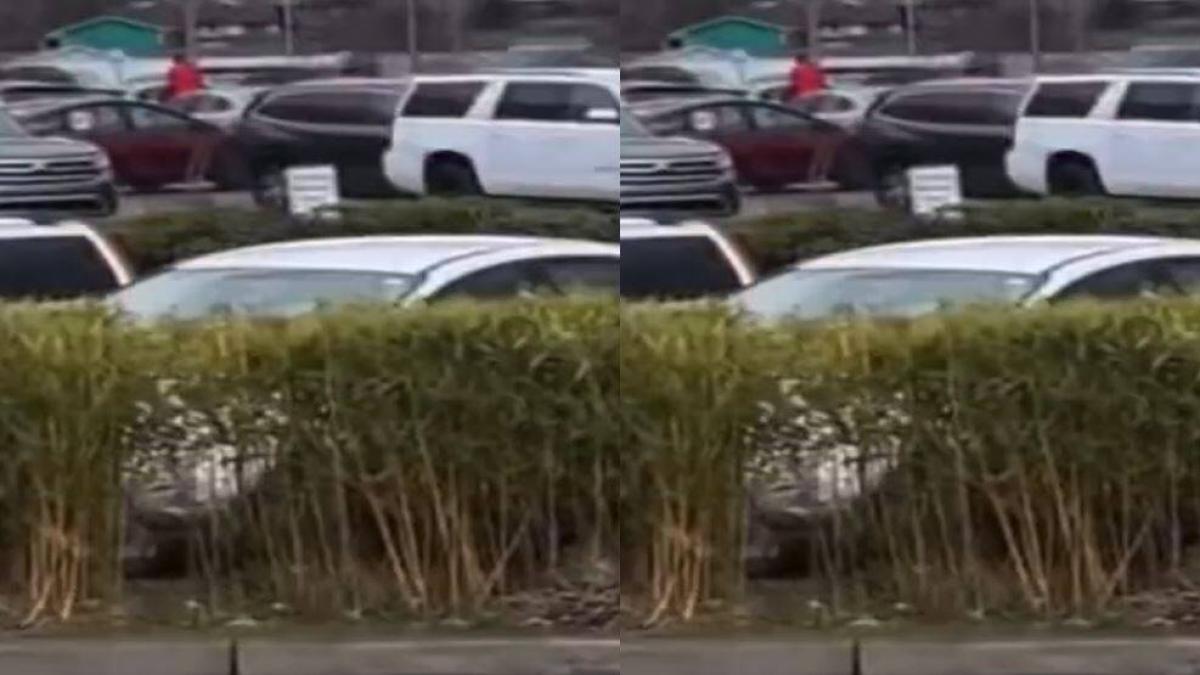 La estrella de la NBA, Brandon Miller, denunciado por muerte por ...