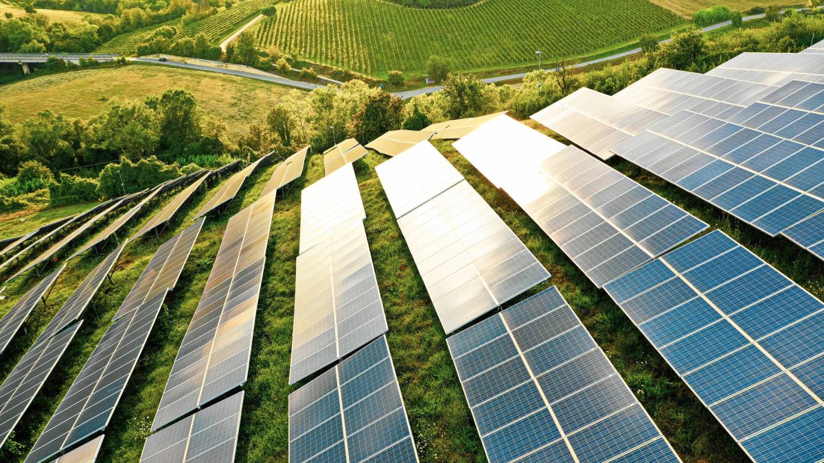 Paneles solares: ¿para qué sirven?