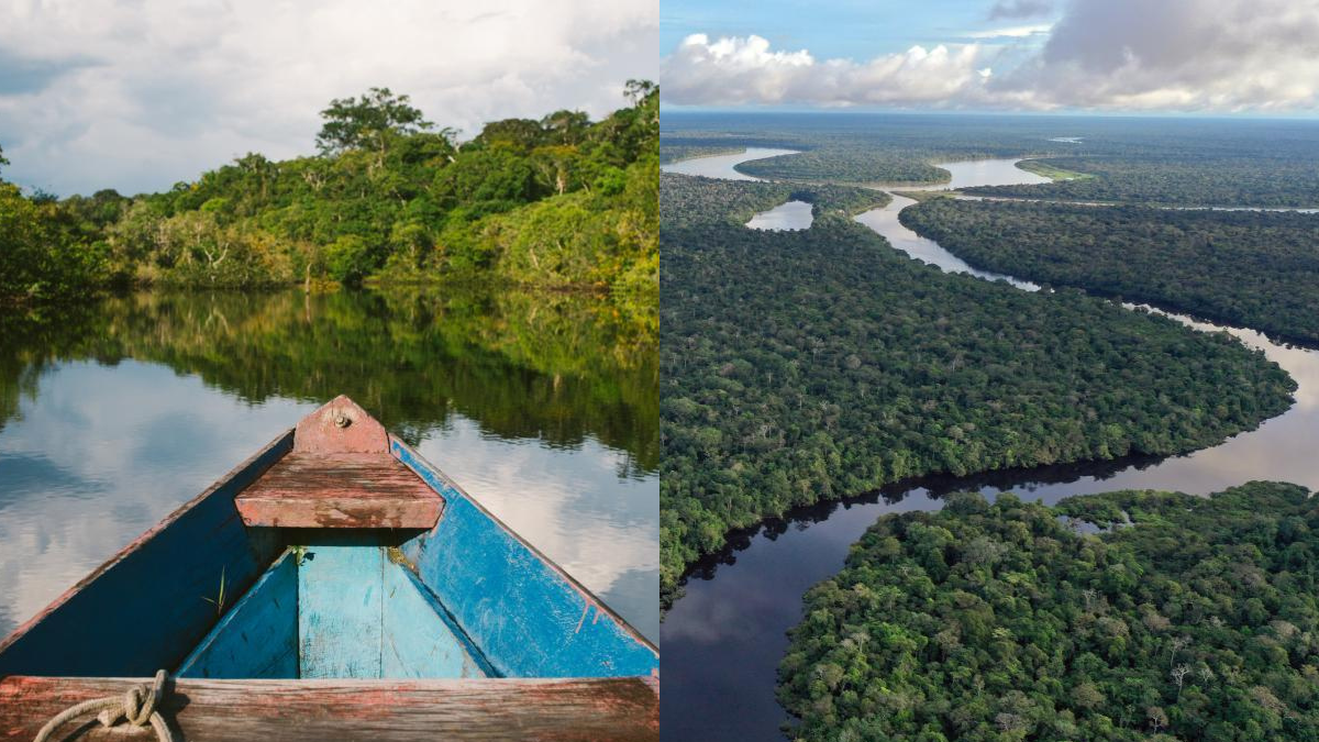 Amazonas: consejos para viajar a la selva colombiana