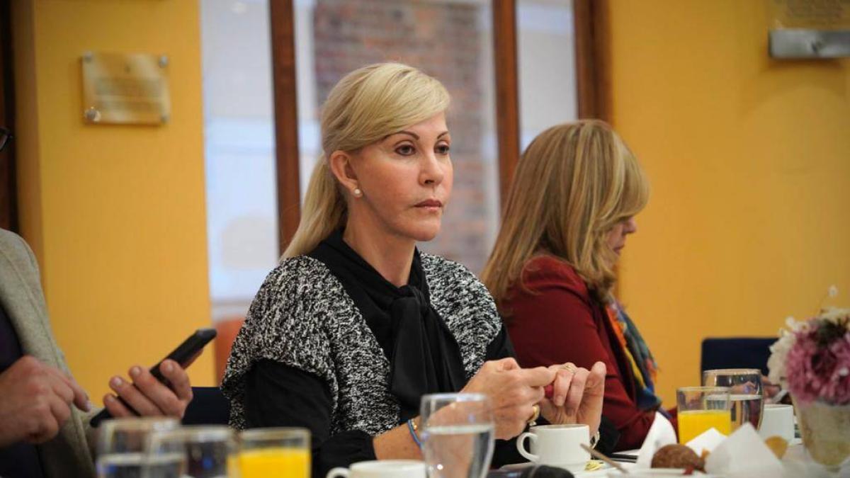 Dilian Francisca Toro habla del futuro de la reforma de la salud