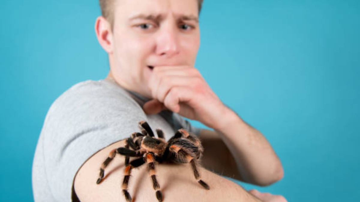 Fobias: ¿Qué tipos de fobias hay?