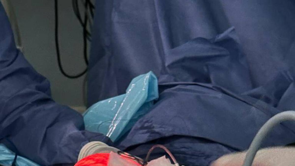 Fetoscopia: la técnica con que salvan bebés de parálisis en Colombia