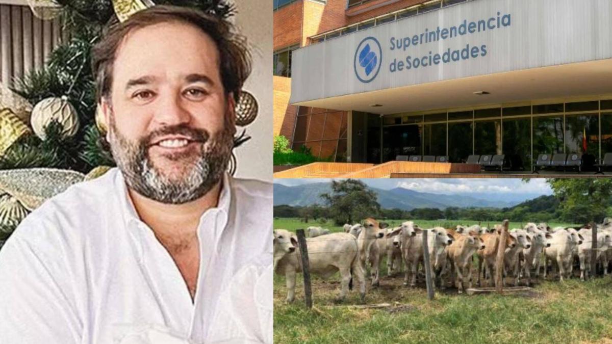 Felipe Rocha: ¿dónde están los $17.000 millones que captó en 11 años?