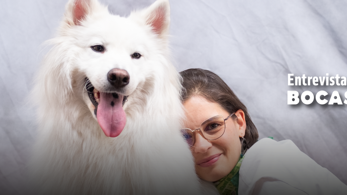¿Cómo salvó la senadora Andrea Padilla 12 perros y 1 gato de un violador?