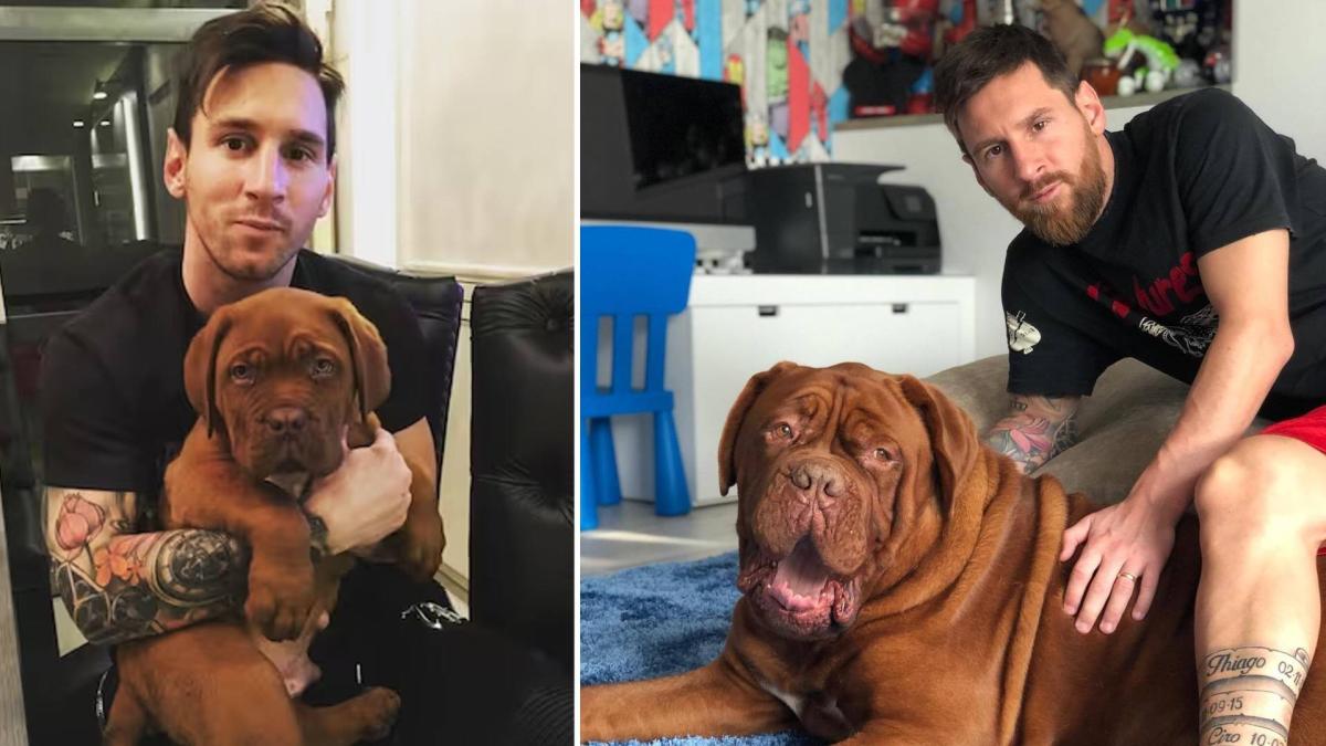 Lionel Messi revela dónde está su perro Hulk y por qué no está en Miami