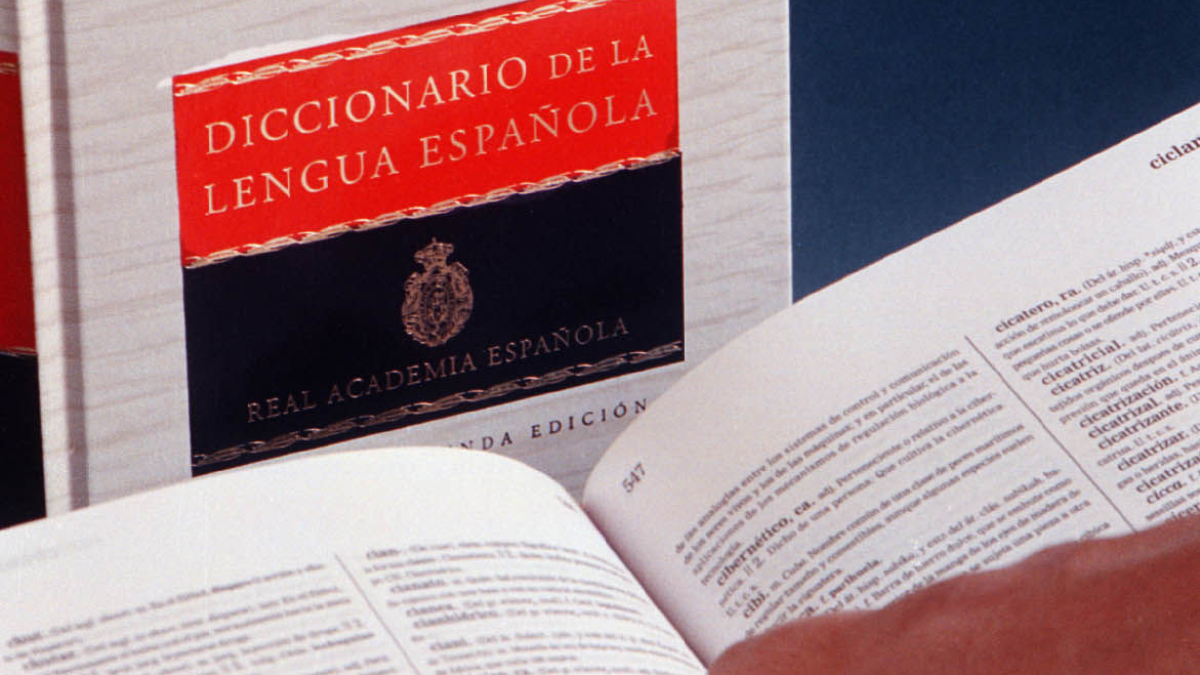 Nuevas palabras de la RAE en su diccionario: wasabi, granularidad, y ...