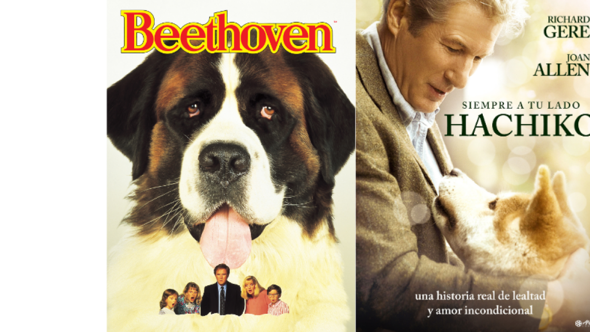 Día del perro: estos son los caninos más famosos en el cine