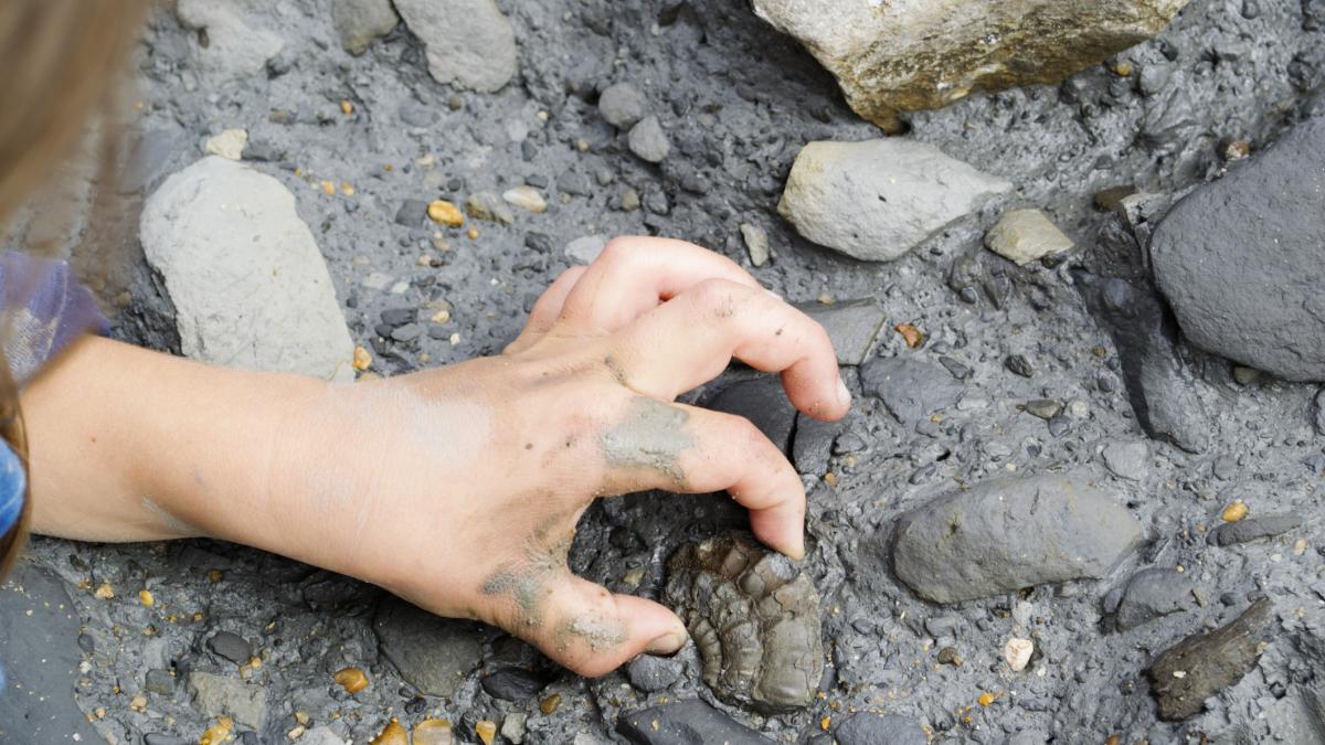 Recogió un pedazo de metal del suelo sin imaginar que era un tesoro valioso