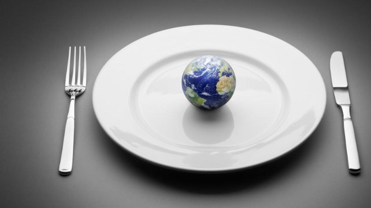 La dieta planetaria que Harvard considera importante: conozca sus ...