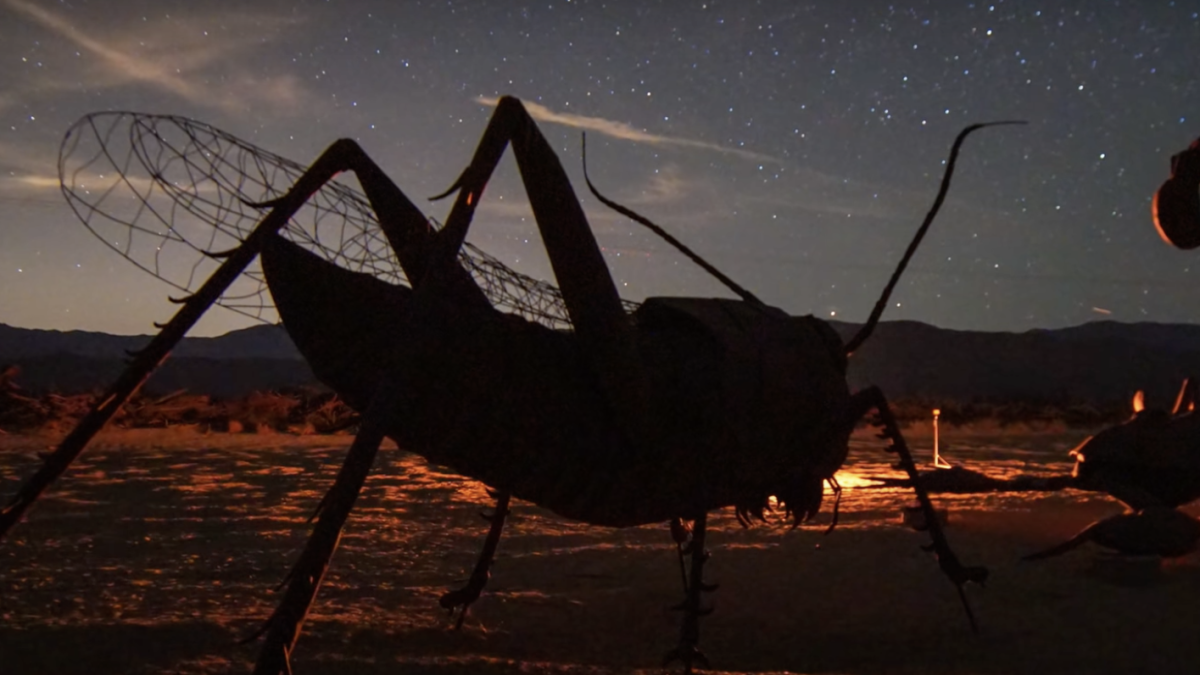 El parque de California que está en medio del desierto y no todos conocen