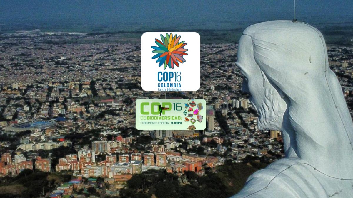 Programación de la COP16 en Cali | Estos son los links para que vea la ...