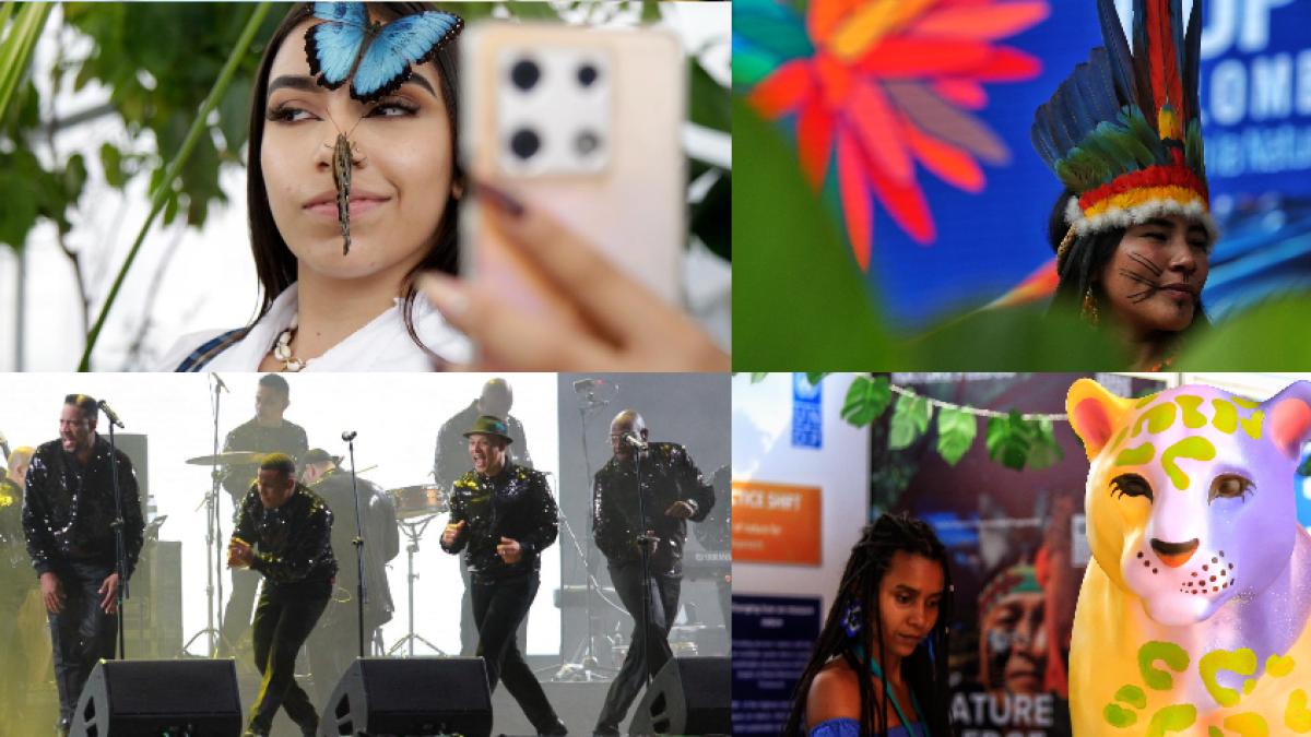 Así avanza la COP16 hoy 25 de octubre en Cali | Eventos, concierto del ...