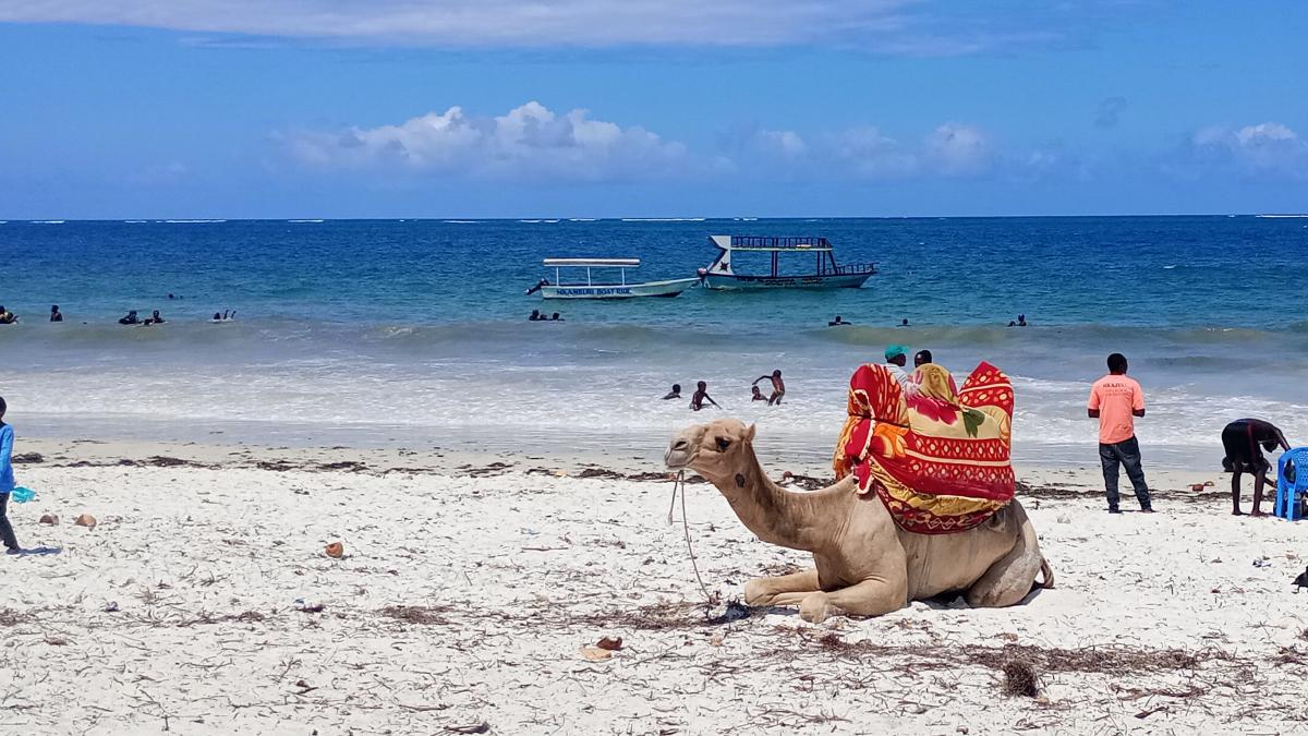 Costa Suajili de Kenia, playas y ciudades perdidas: ¿Qué visitar en ...