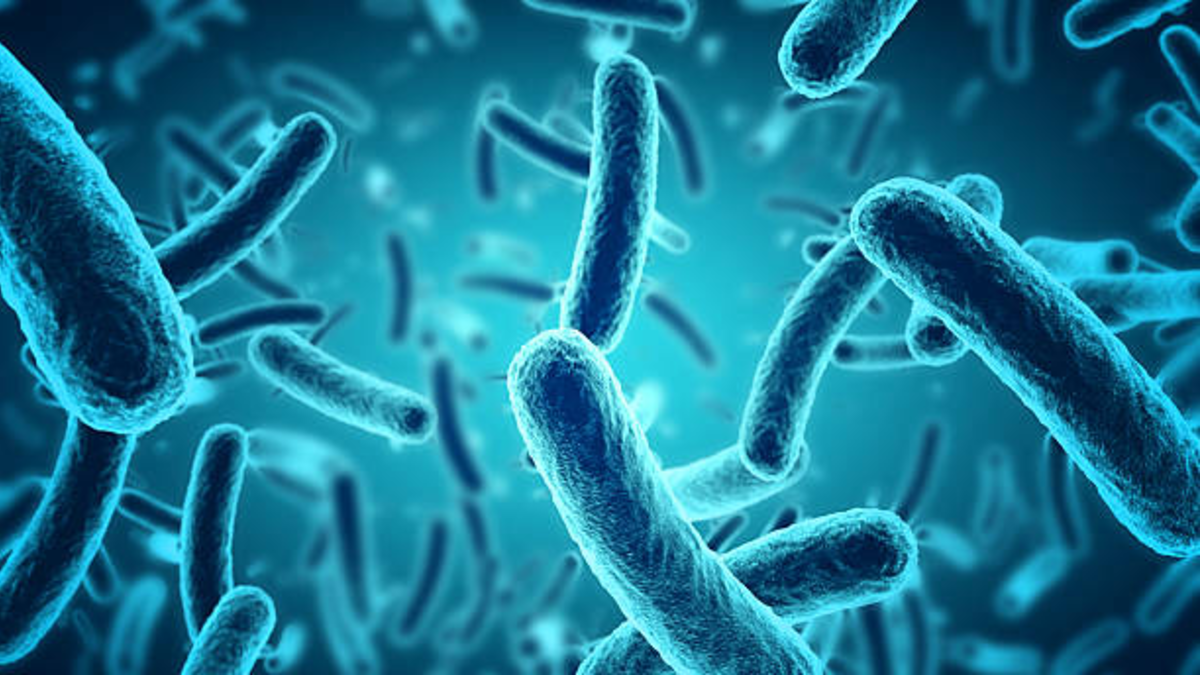 La ciencia recuerda por qué es importante cuidar a los microbios y su ...