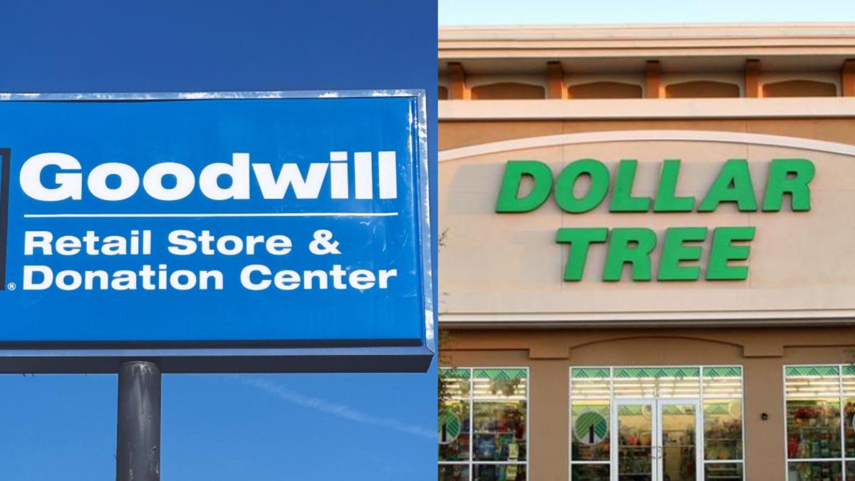 Goodwill o Dollar Tree: ¿cuál tienda tiene mejores precios, según la IA?
