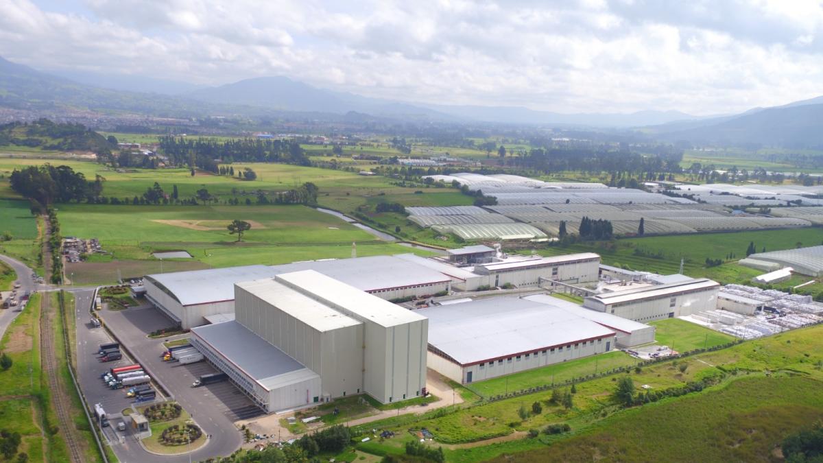 Multinacional Essity, dueña de Grupo Familia, proyecta incrementar sus ...