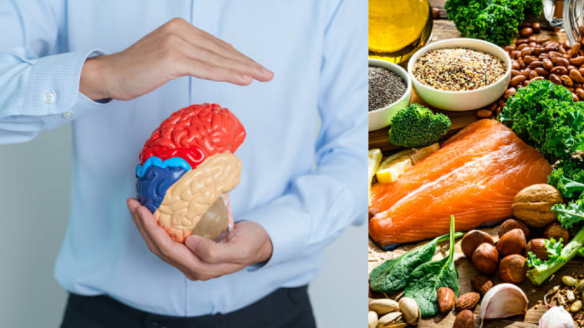La proteína clave para tener un cerebro más joven, rápido y enfocado ...