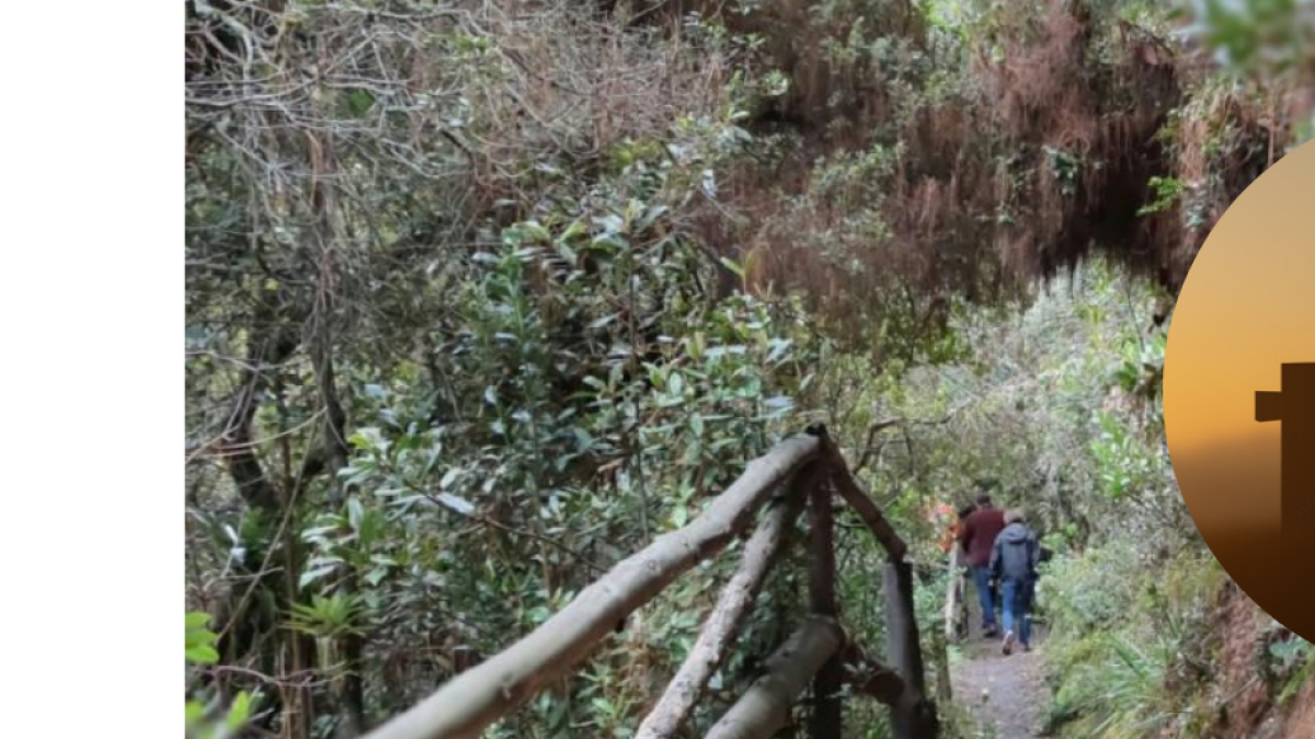 Estos son los senderos ecológicos a los que puede ir en Bogotá en ...