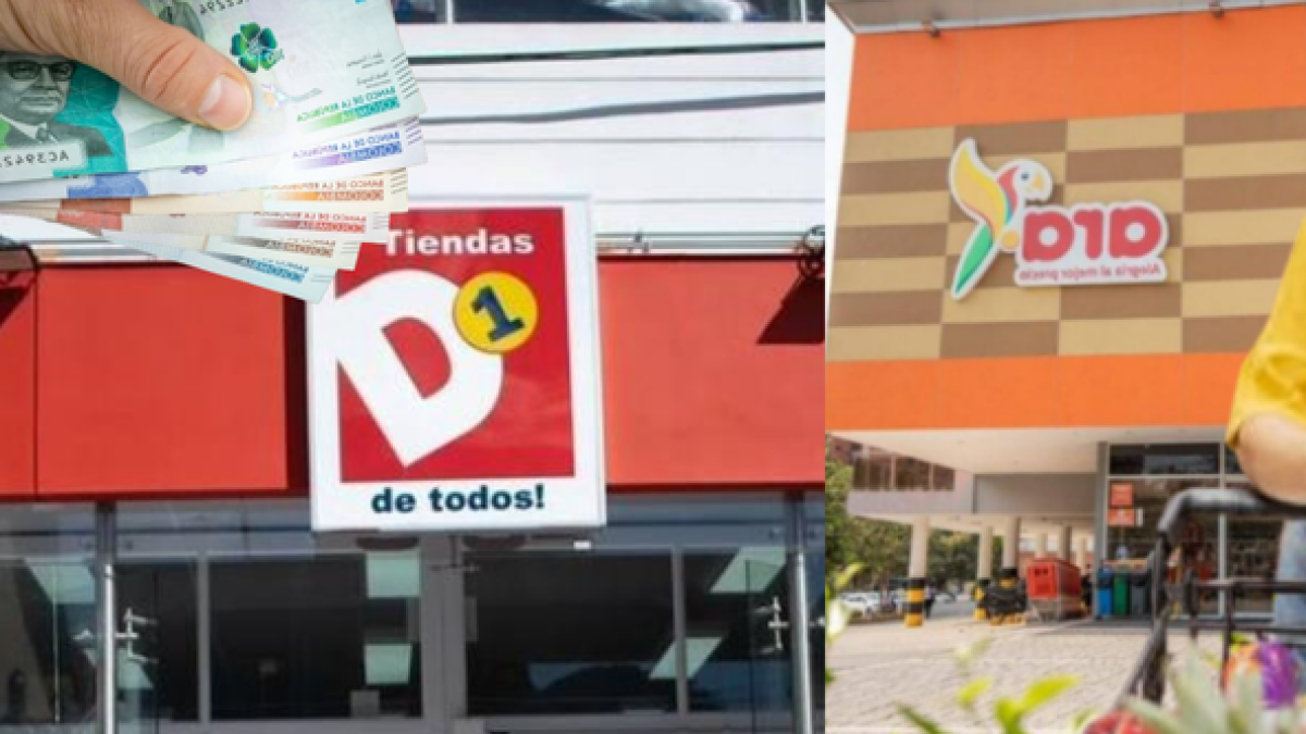Las 7 tiendas preferidas por los colombianos, según estudio: D1 y Ara lideran el ranking y no ...
