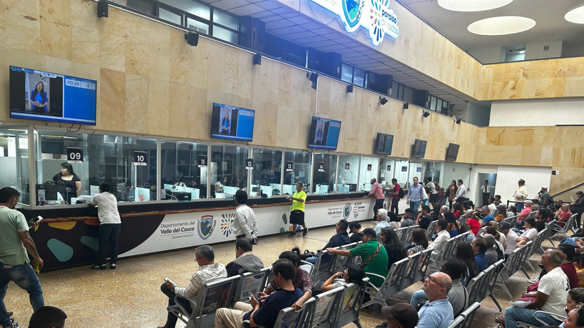 No siga dando más 'papaya': Gobernación otorgará alivios de hasta el 80 ...