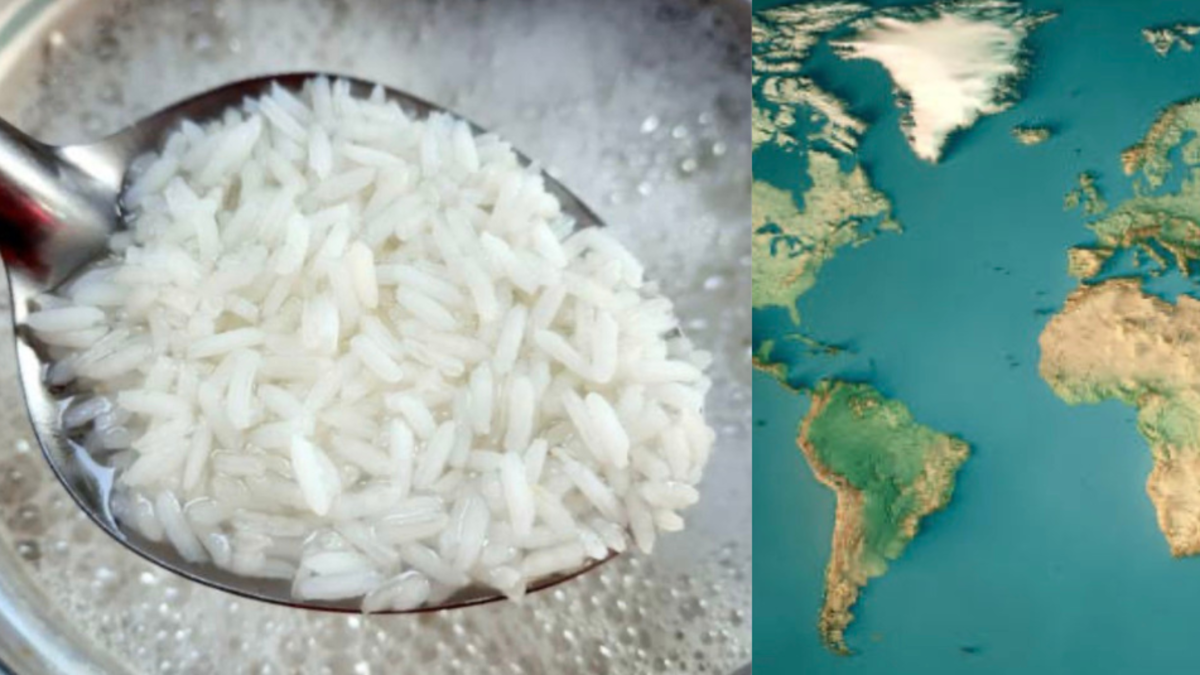 El país de Latinoamérica que consume 3 veces más arroz que China: no es ...