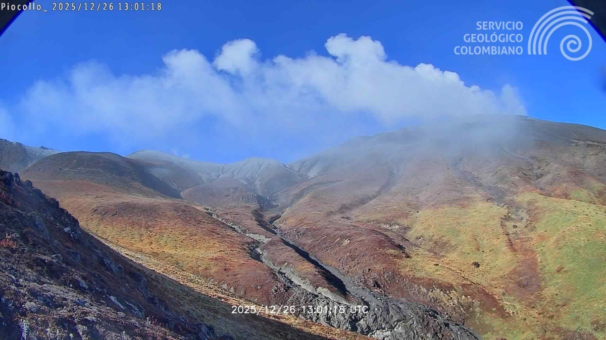 Actividad del volcán Puracé sigue marcada por sismicidad, gases y ...