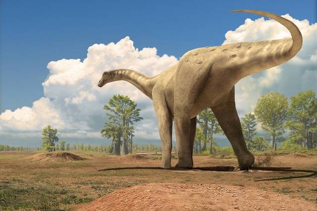 Hallan el primer hueso de dinosaurio encontrado en la Antártida ...