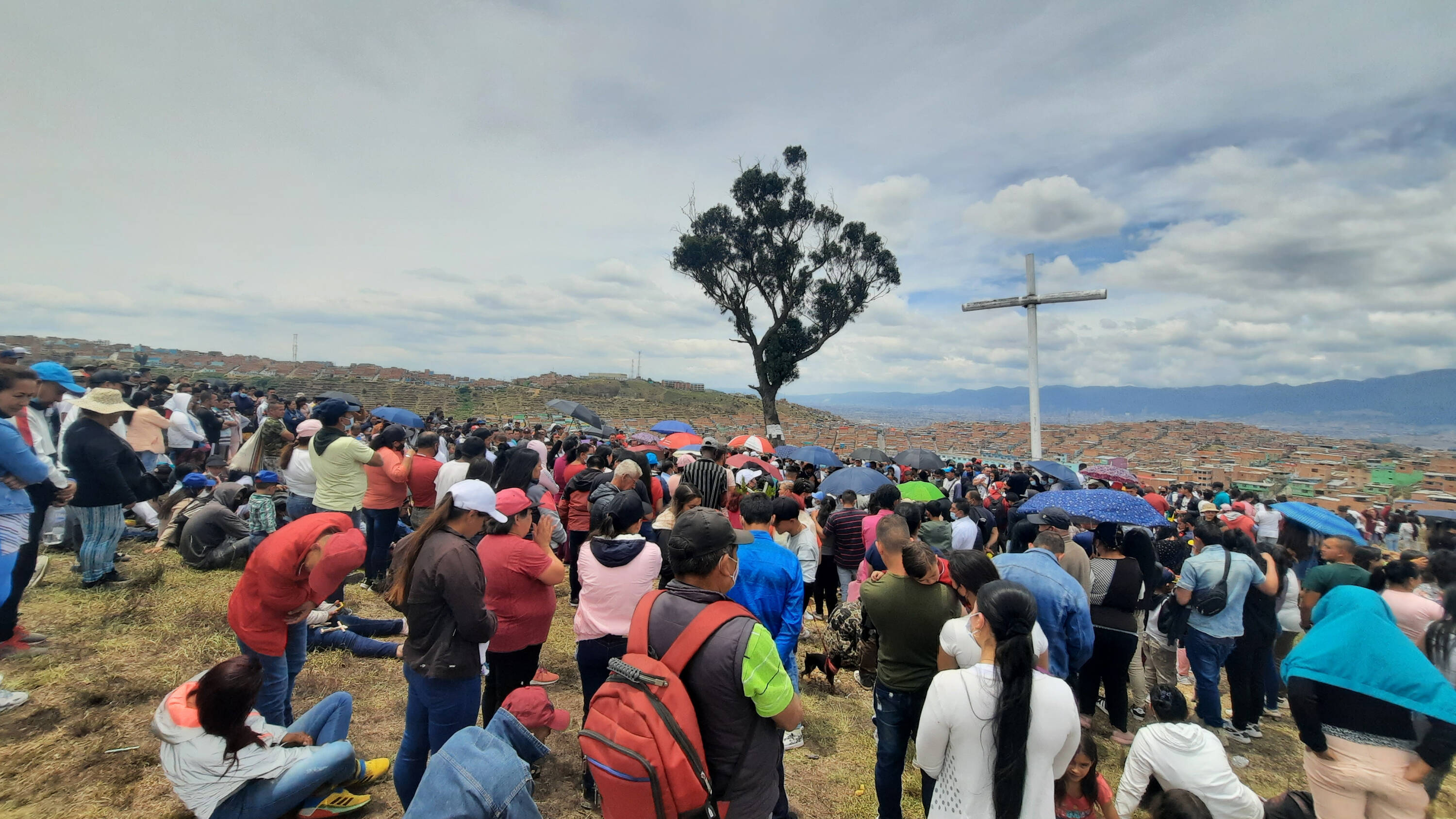El Árbol de la Vida resiste: Bogotá activa plan urgente para salvar ...